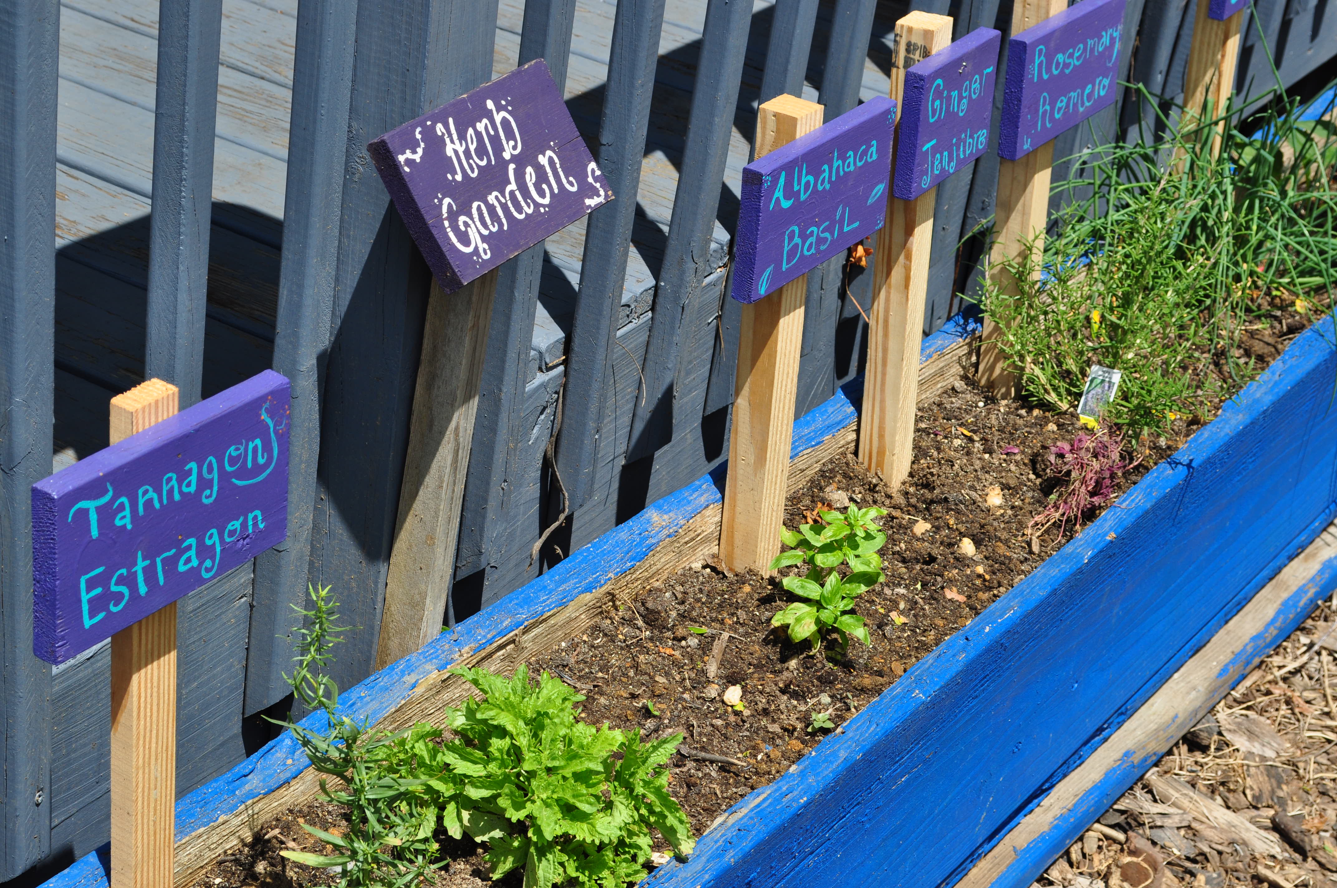 Jobs & Internships – APA FOOD