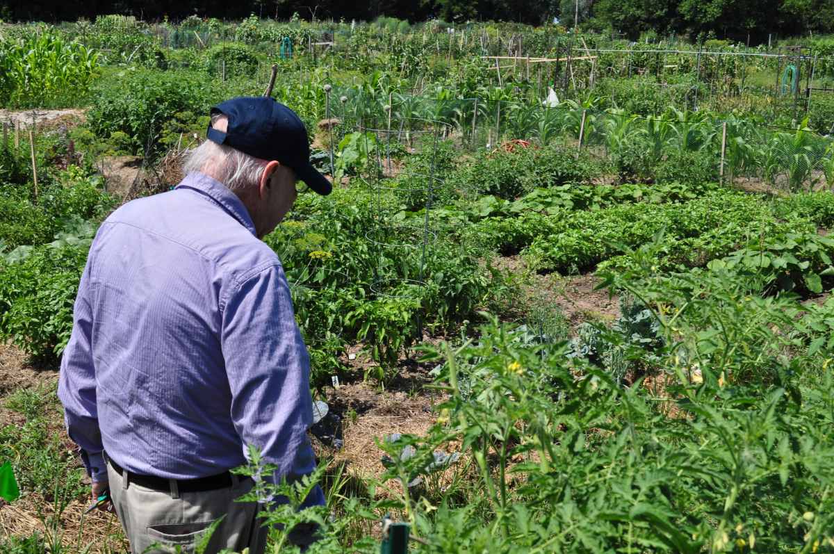 History – APA FOOD