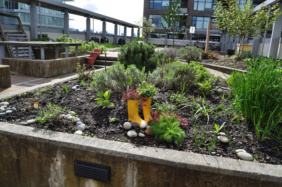 Membership – APA FOOD